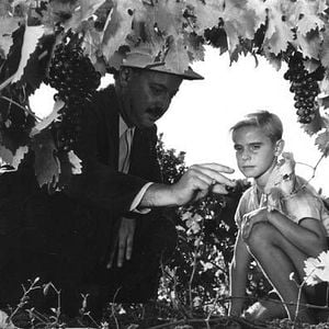 James Blue - SensaCine.com