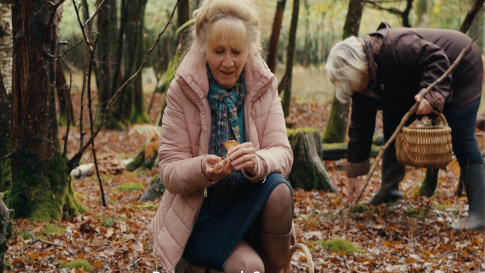 Teaser de la película Cuando cae el otoño - Cuando cae el otoño Tráiler ...