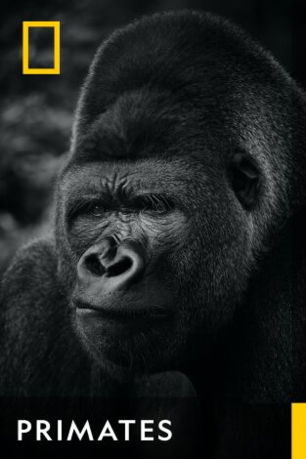 Primates - Serie - SensaCine.com