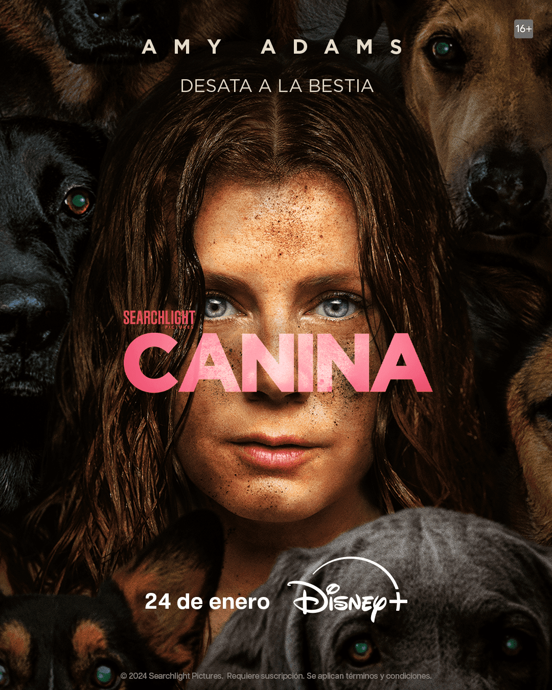 Críticas de prensa para la película Canina - SensaCine.com