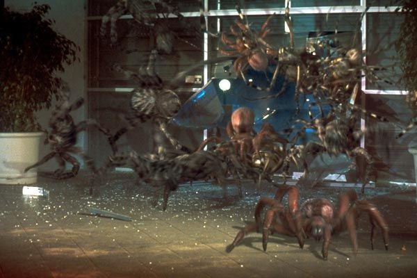 Foto de la película Arac Attack - Foto 6 por un total de 13 - SensaCine.com