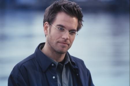 Foto de Michael Weatherly - Foto Michael Weatherly - Foto 516 de 526 ...