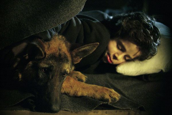 Foto de Danny Lerner - Las nuevas aventuras de Rin-Tin-Tin : Foto Ana ...