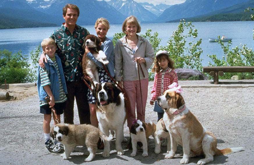 Foto de Rod Daniel - Beethoven 2: La familia crece : Foto Rod Daniel ...