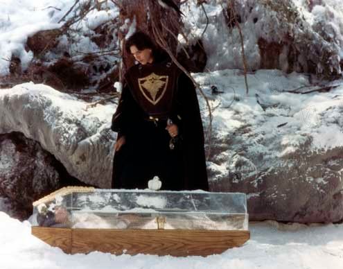 Foto de Michael Berz - Foto Michael Berz - Foto 0 de 2 - SensaCine.com