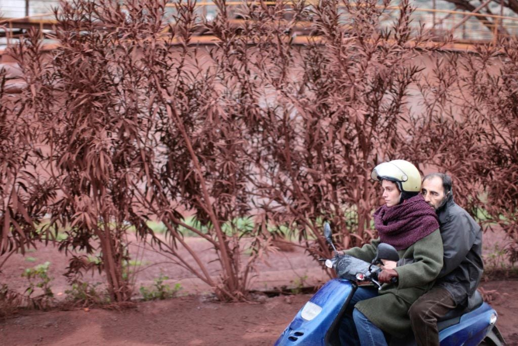 Foto de la película Attenberg - Foto 7 por un total de 10 - SensaCine.com