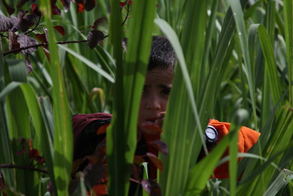 Foto de la película Los colores de la montaña - Foto 11 por un total de ...