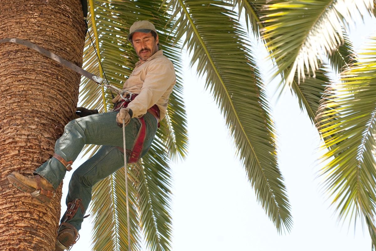 Foto de la película Una vida mejor - Foto 10 por un total de 19 ...