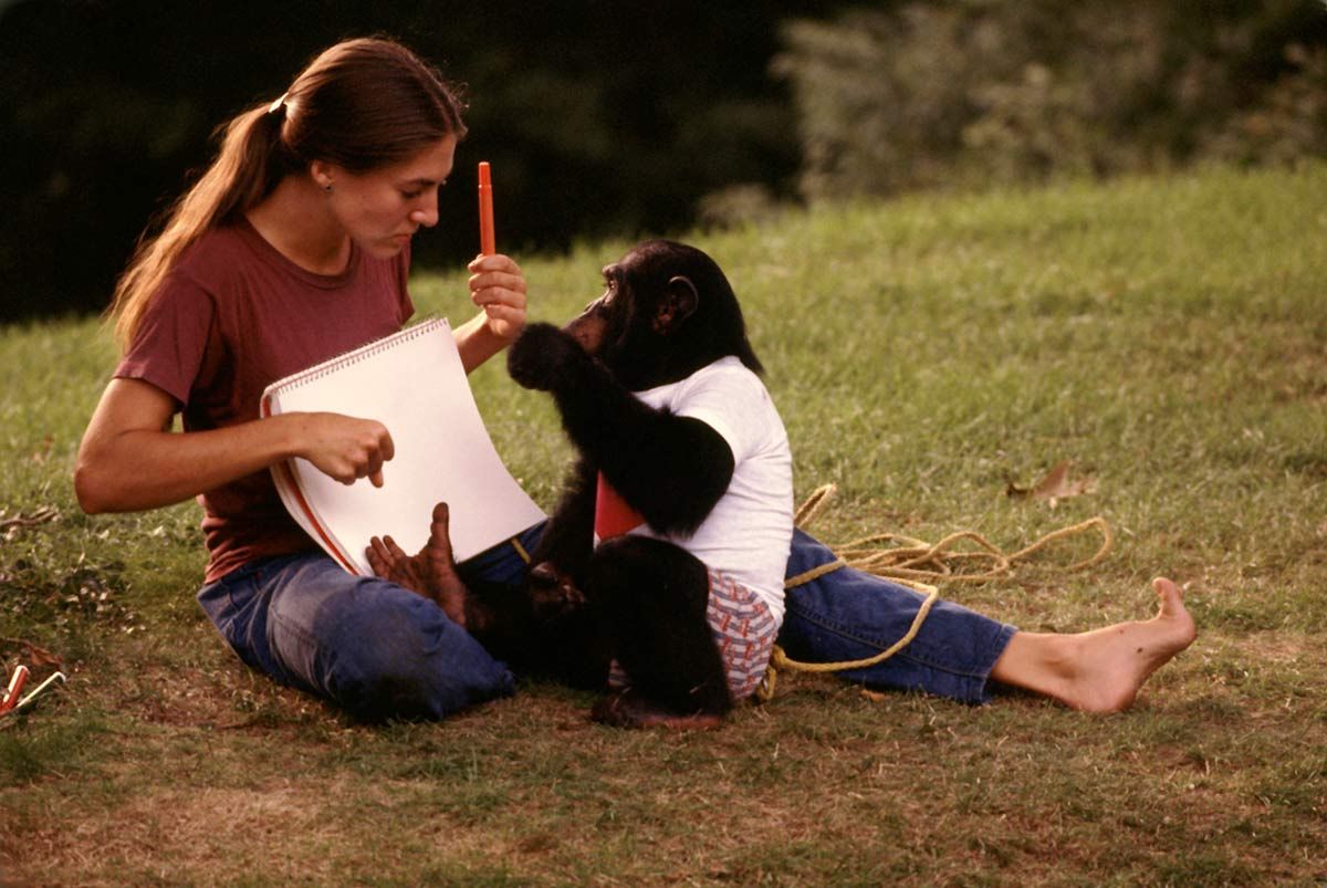 Foto de la película Proyecto Nim - Foto 12 por un total de 12 - SensaCine.com