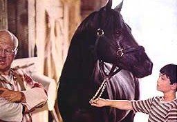 Foto de la película El corcel negro - Foto 14 por un total de 15 ...