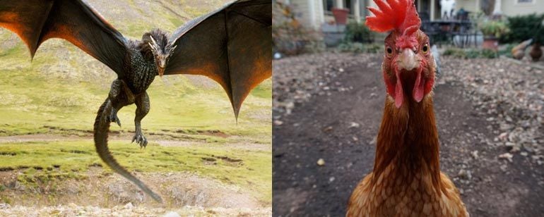 Los artistas de ‘Juego de Tronos’ se basaron en un pollo para hacer a ...