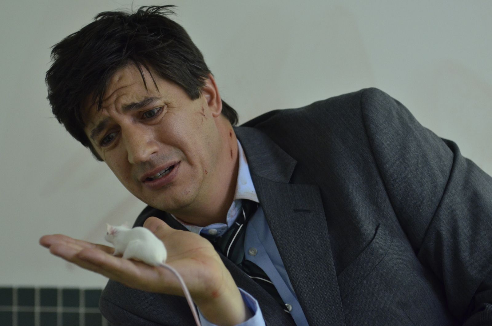 Foto de la película Bad Milo! - Foto 3 por un total de 16 - SensaCine.com