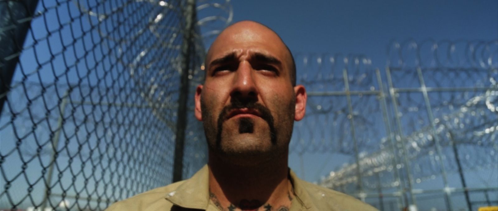 Foto de Nick Principe - Foto Nick Principe - Foto 4 de 10 - SensaCine.com