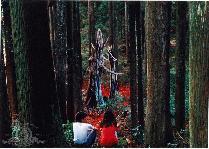 Foto de la película Rapsodia en agosto - Foto 6 por un total de 12 ...