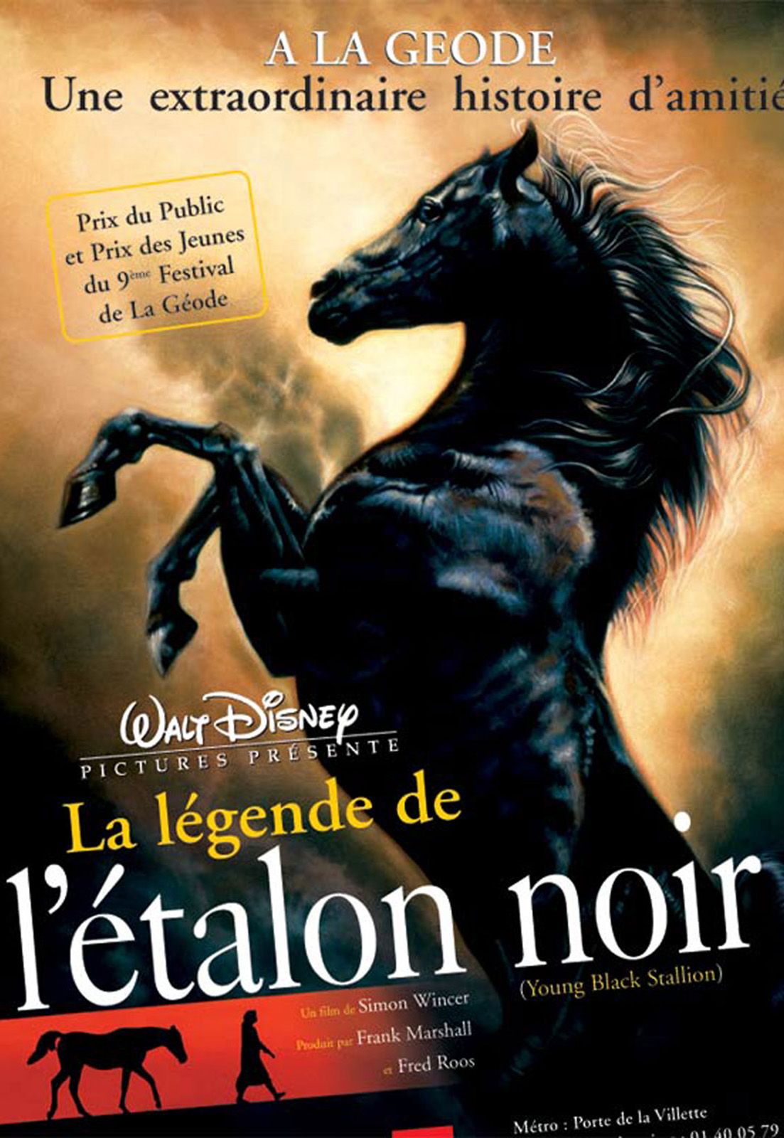 Foto de Shetan, el caballo del desierto - Foto 2 por un total de 3 ...