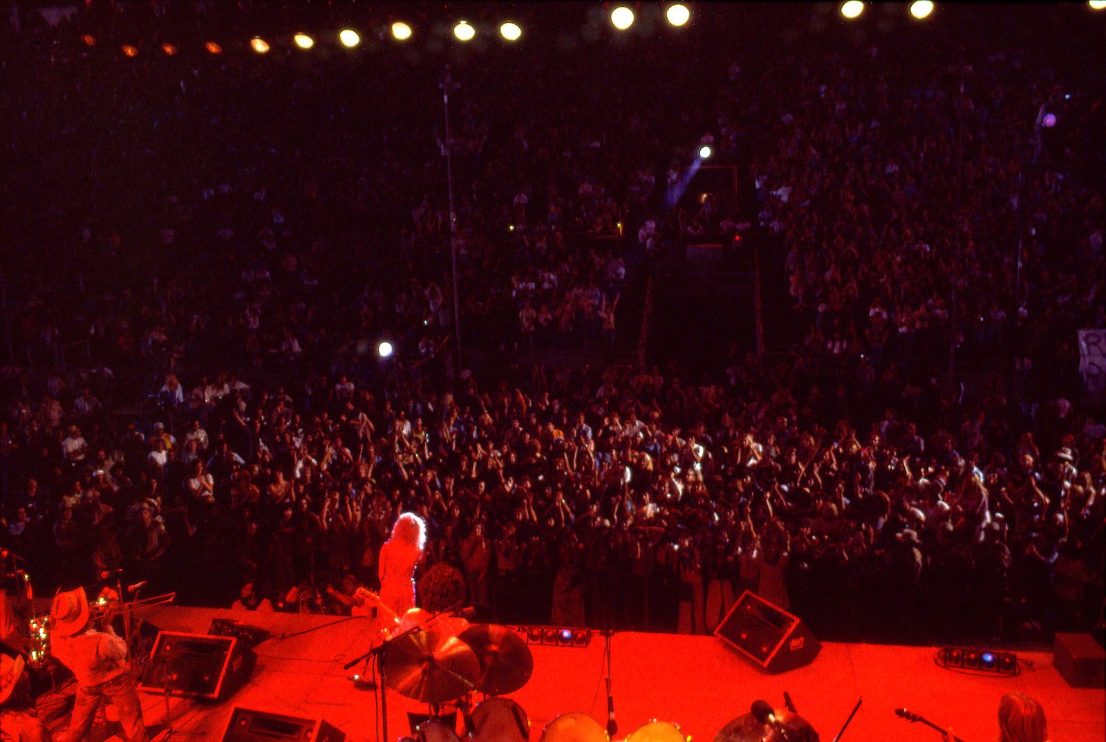 Foto de la película La Rosa - Foto 11 por un total de 18 - SensaCine.com