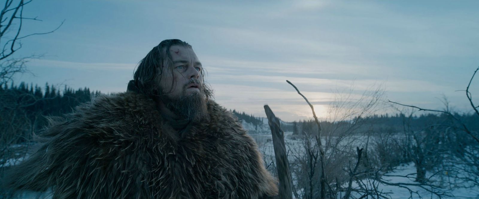 Foto de Leonardo DiCaprio - El renacido : Foto Leonardo DiCaprio - Foto ...