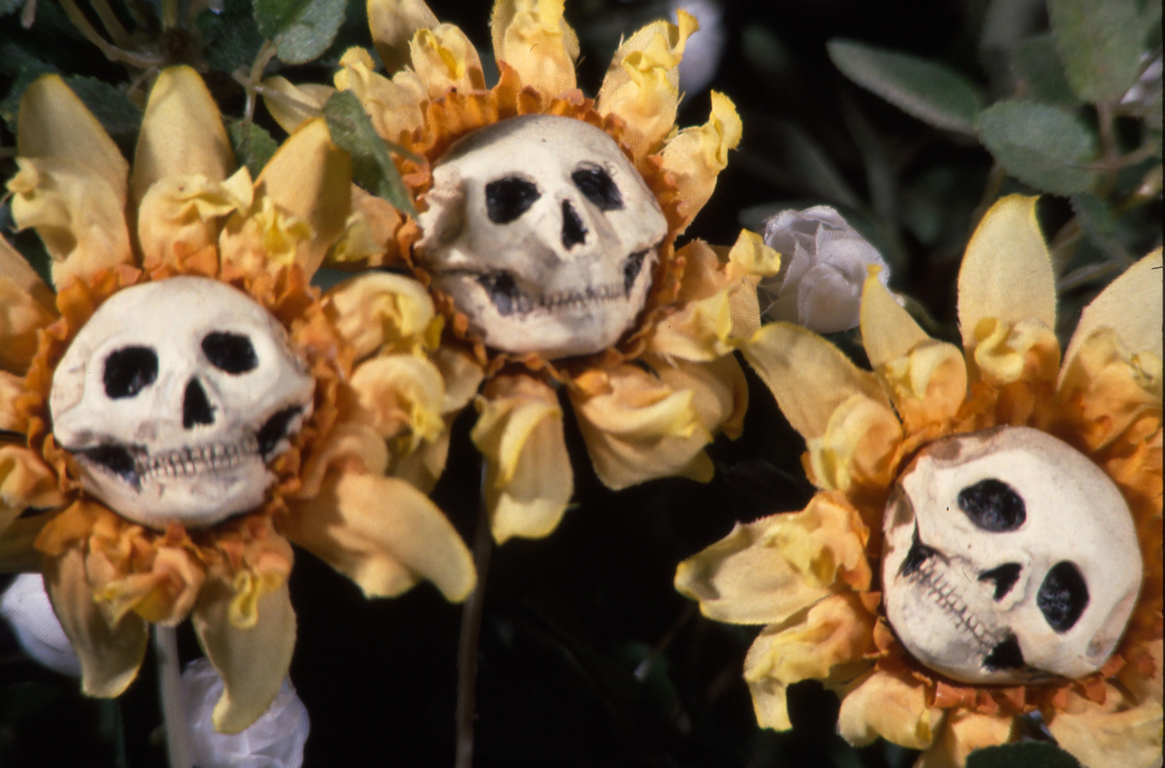 Foto de la película Blood Tea and Red String - Foto 1 por un total de 5 ...