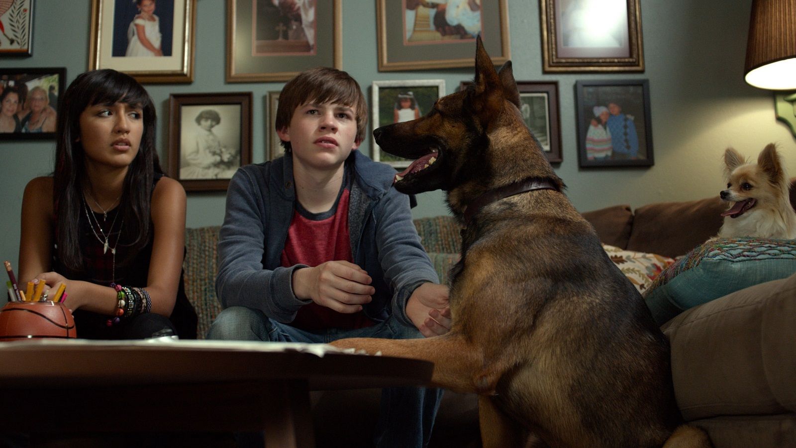 Foto de la película Max - Foto 2 por un total de 33 - SensaCine.com