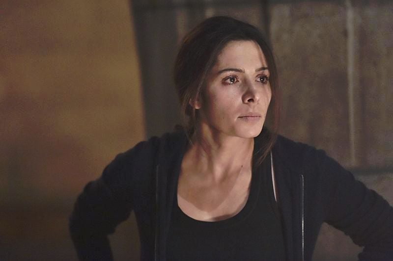 Foto de Sarah Shahi - Vigilados: Person of Interest : Foto Sarah Shahi ...