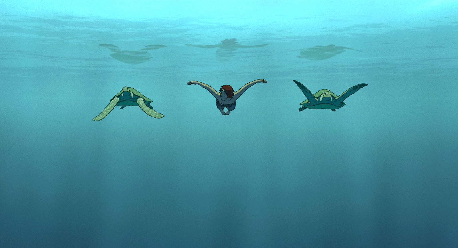 Foto de la película La tortuga roja - Foto 6 por un total de 19 ...