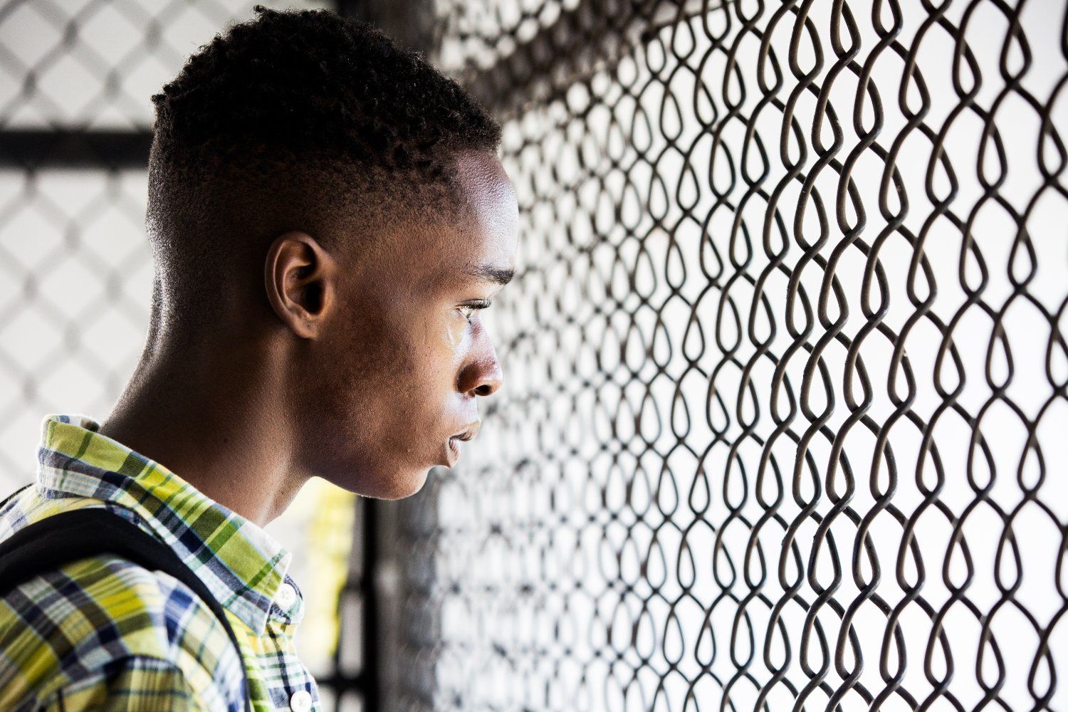 Foto de la película Moonlight - Foto 29 por un total de 33 - SensaCine.com
