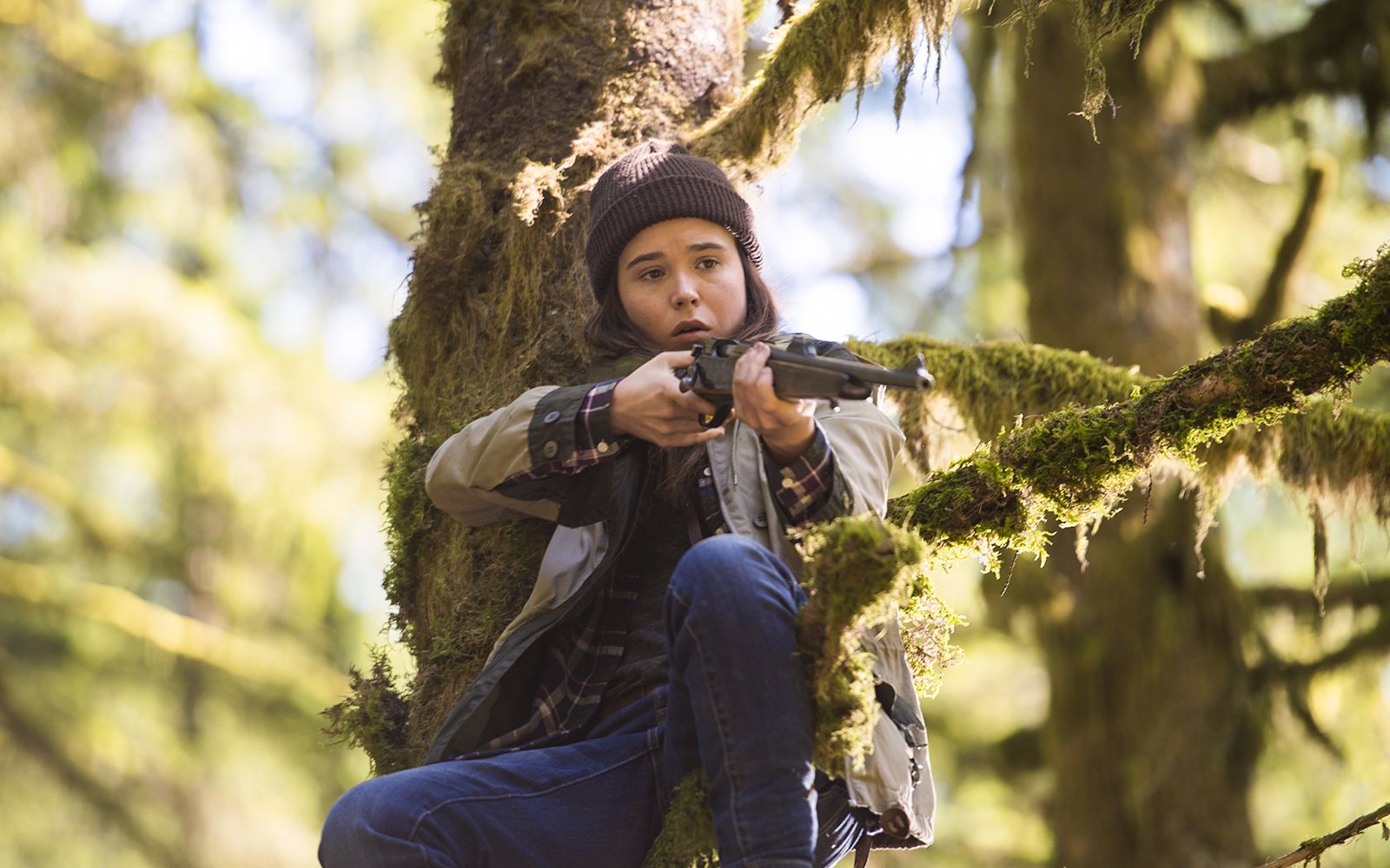 Foto de la película En el bosque - Foto 9 por un total de 18 ...