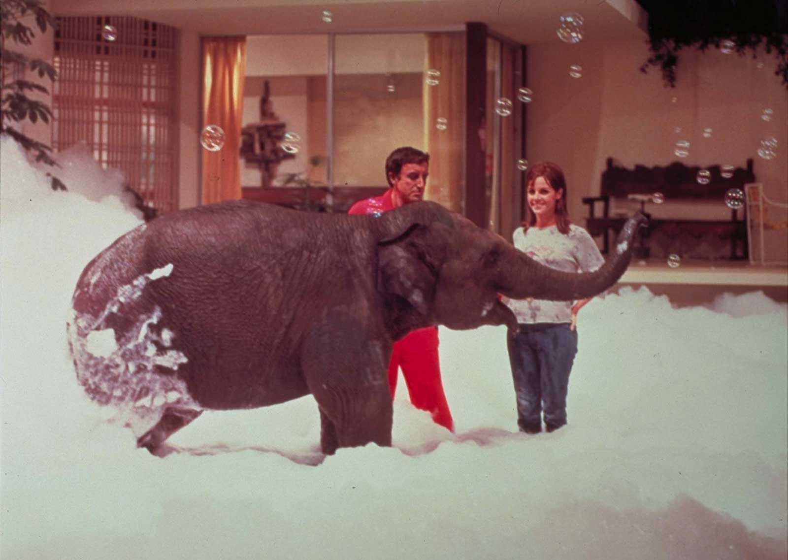 Foto de la película El guateque - Foto 1 por un total de 17 - SensaCine.com