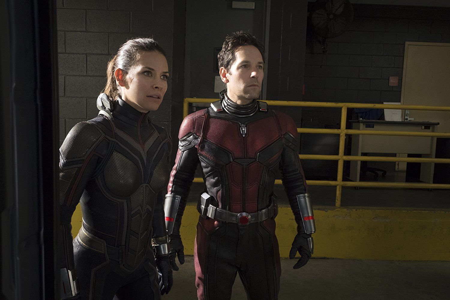 Foto de la película Ant-Man y la Avispa - Foto 51 por un total de 61 - SensaCine.com