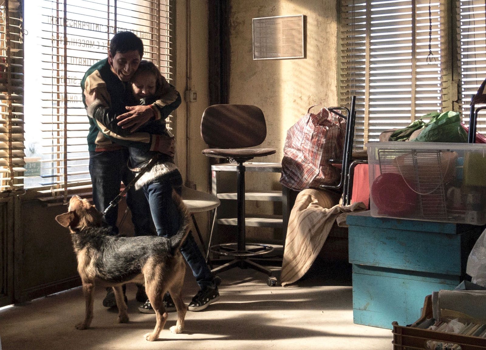 Foto de la película Dogman - Foto 7 por un total de 13 - SensaCine.com