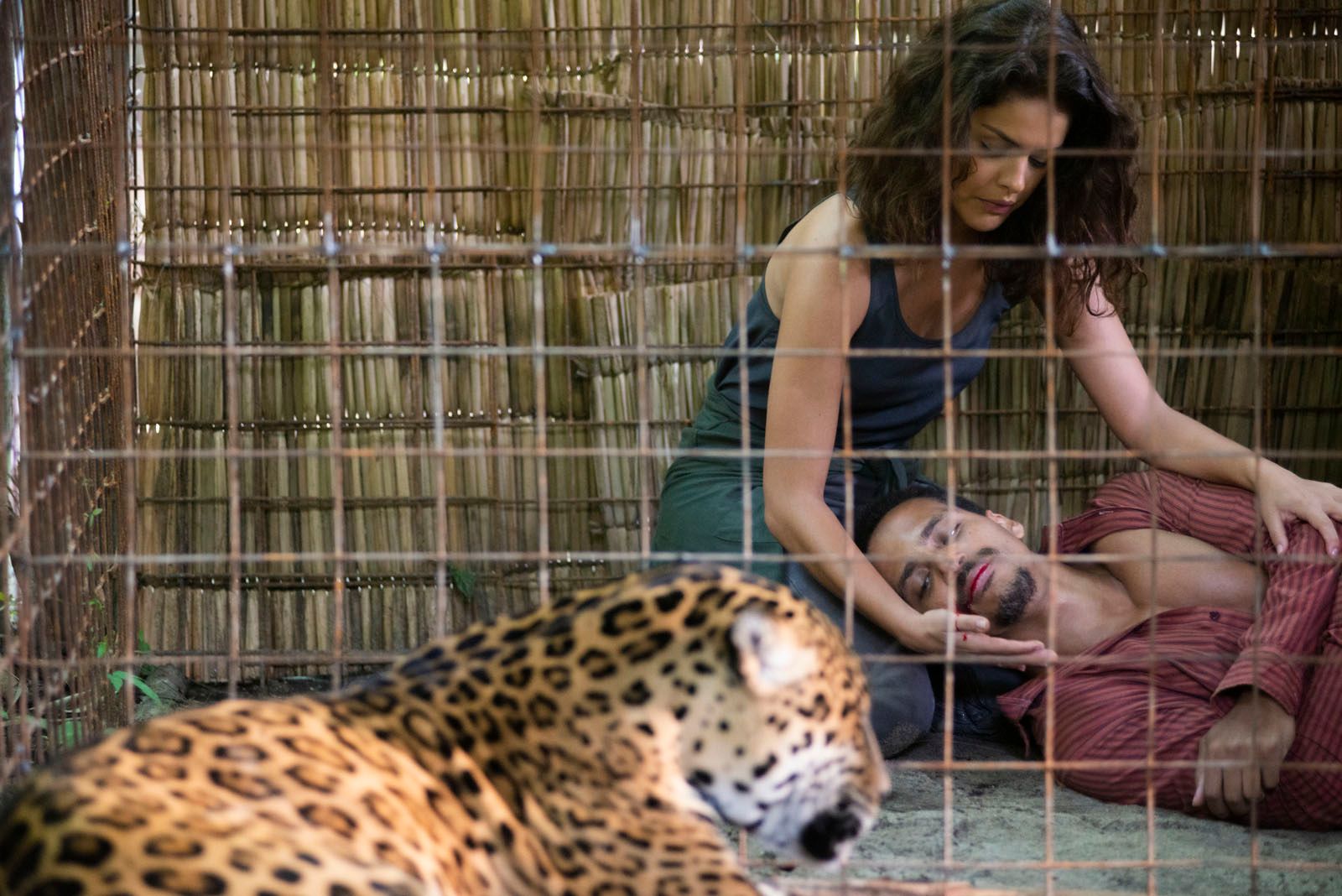 El escogido : El escogido : Foto Pedro Caetano, Paloma Bernardi - Foto ...