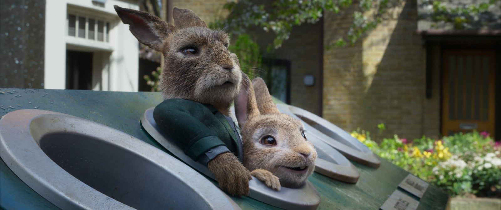 Foto de la película Peter Rabbit 2: A la fuga - Foto 12 por un total de ...
