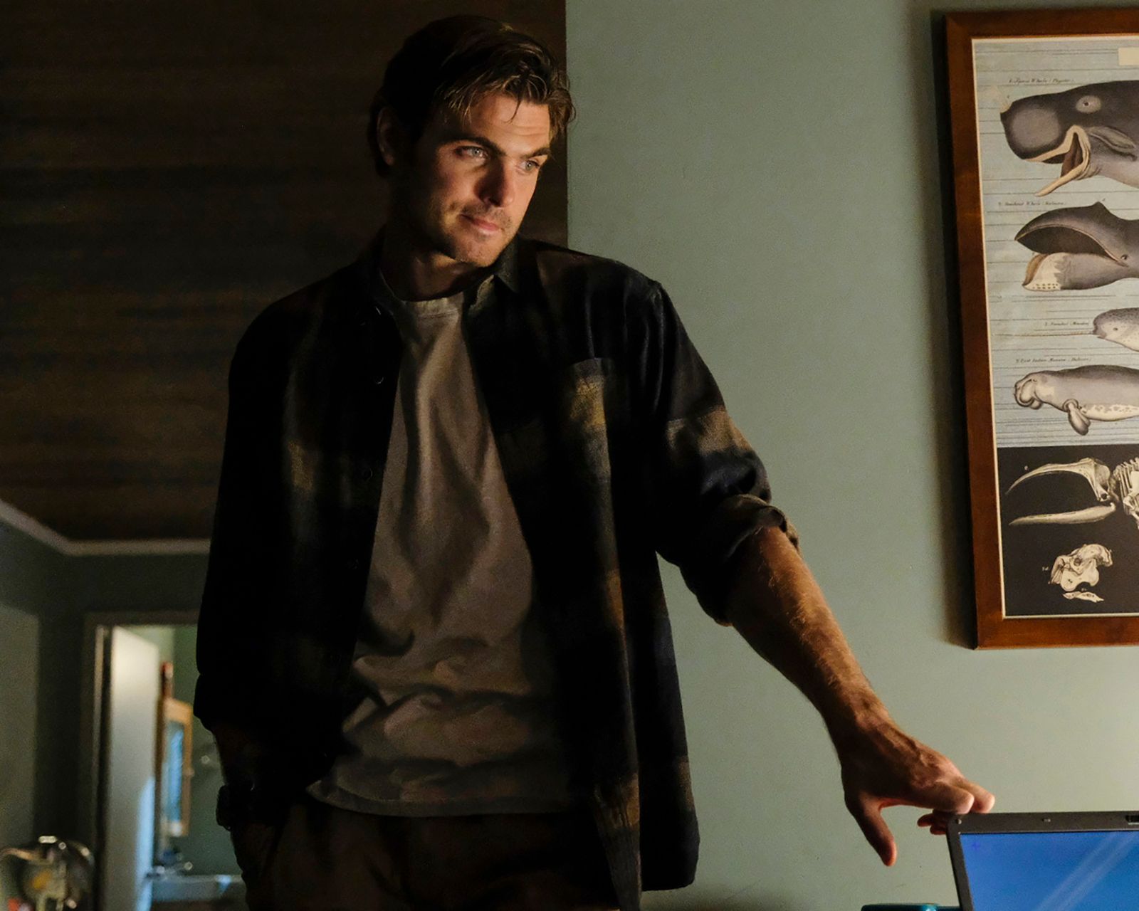 Foto de Alex Roe - Siren : Foto Alex Roe - Foto 7 de 69 - SensaCine.com