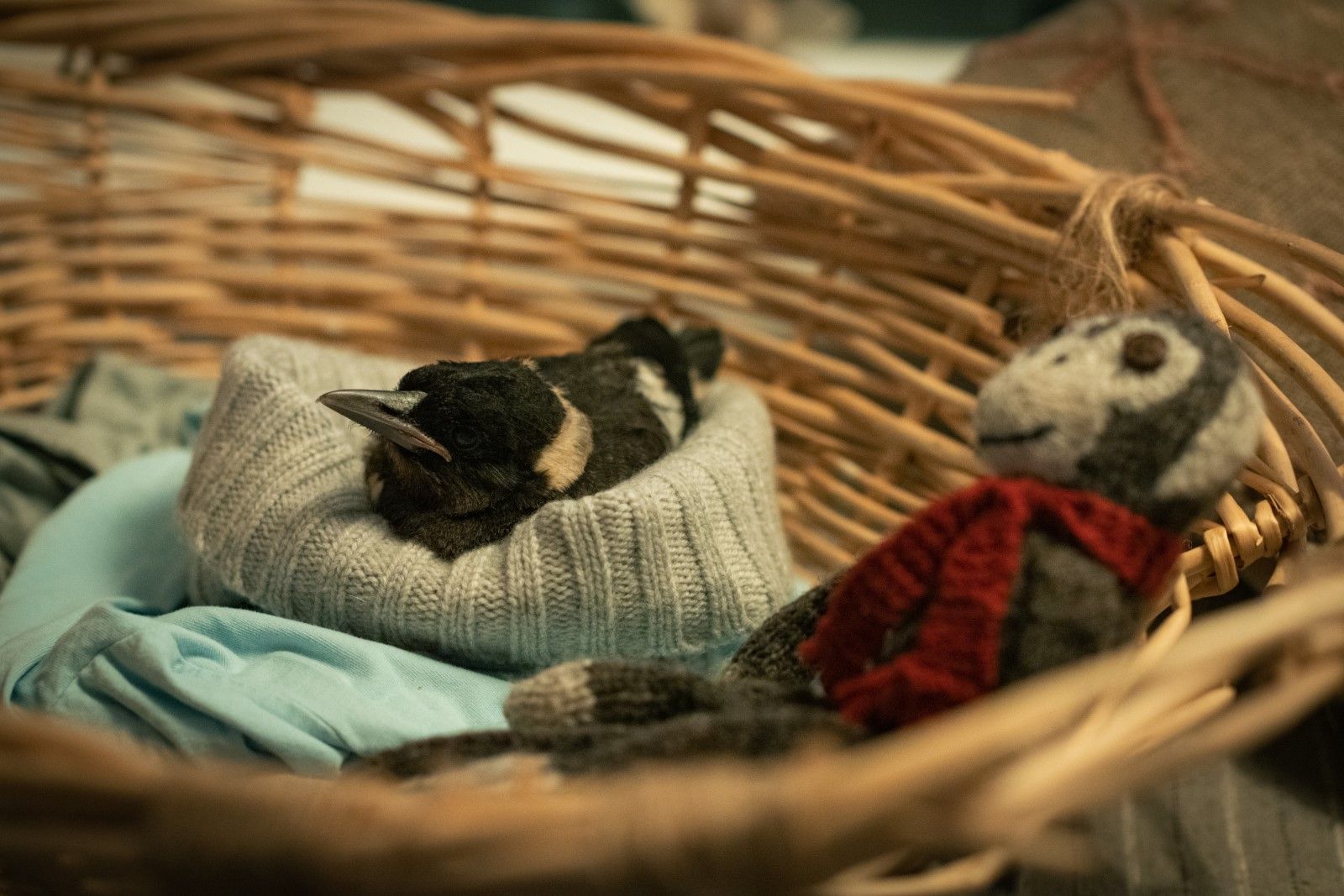 Foto de la película La familia Bloom - Foto 10 por un total de 17 ...