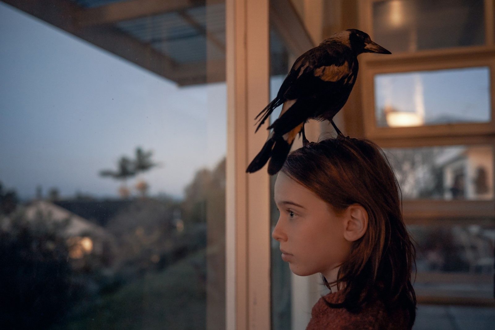 Foto de la película La familia Bloom - Foto 6 por un total de 17 ...