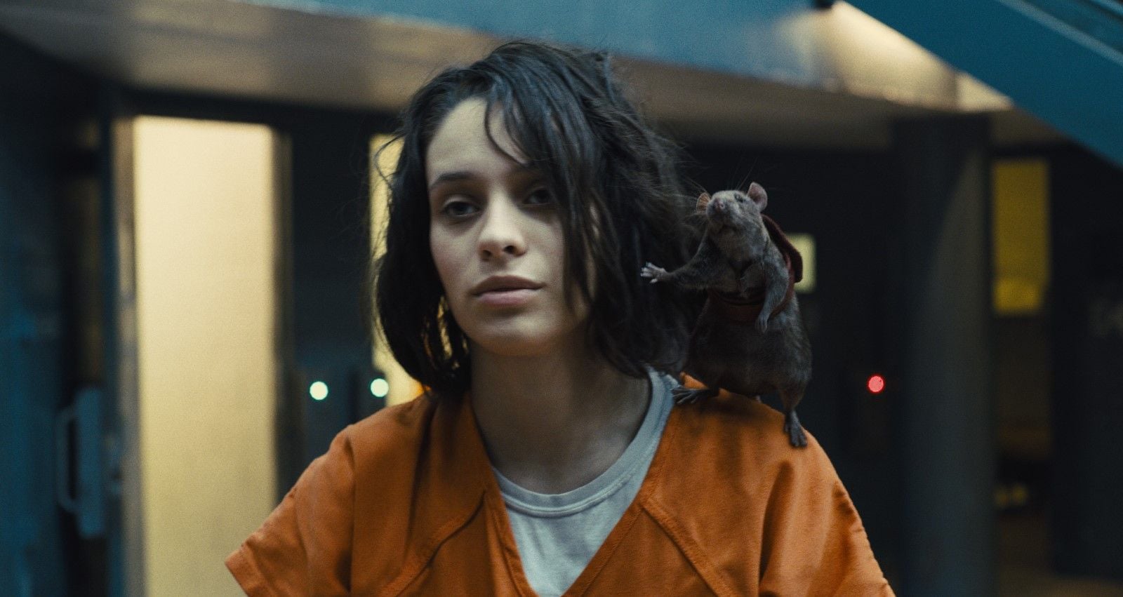 Foto de la película El Escuadrón Suicida - Foto 14 por un total de 59 ...