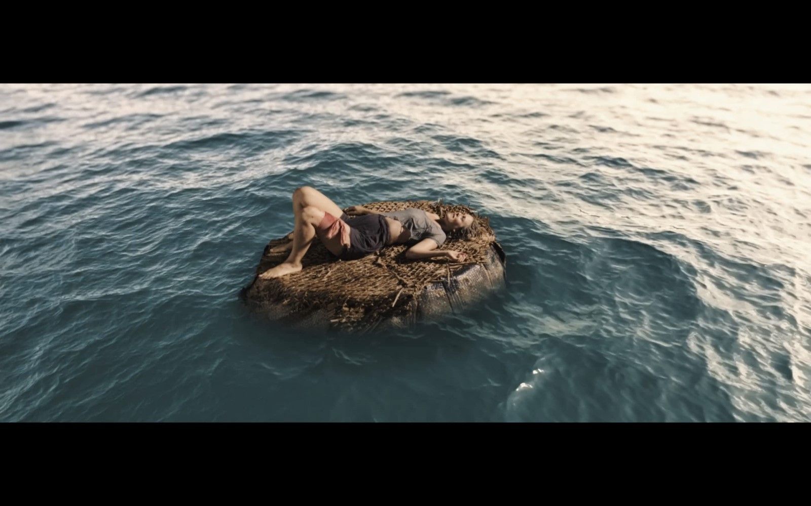 Foto de la película Sharkwater - Foto 5 por un total de 6 - SensaCine.com
