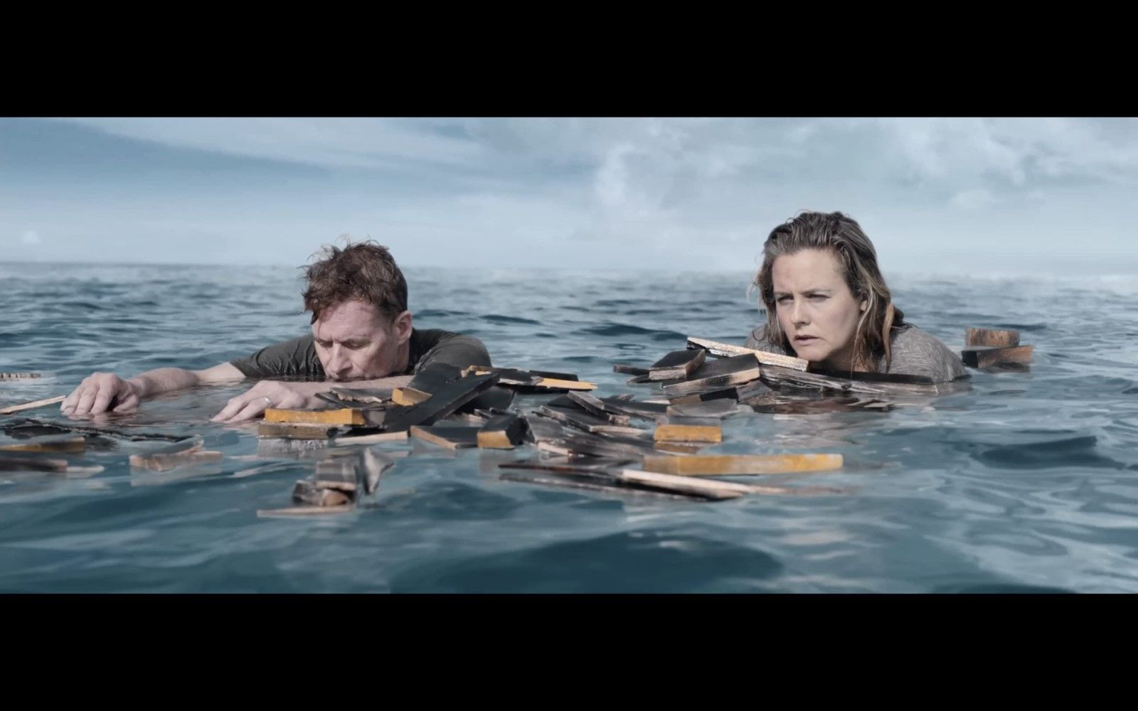 Foto de la película Sharkwater - Foto 3 por un total de 6 - SensaCine.com