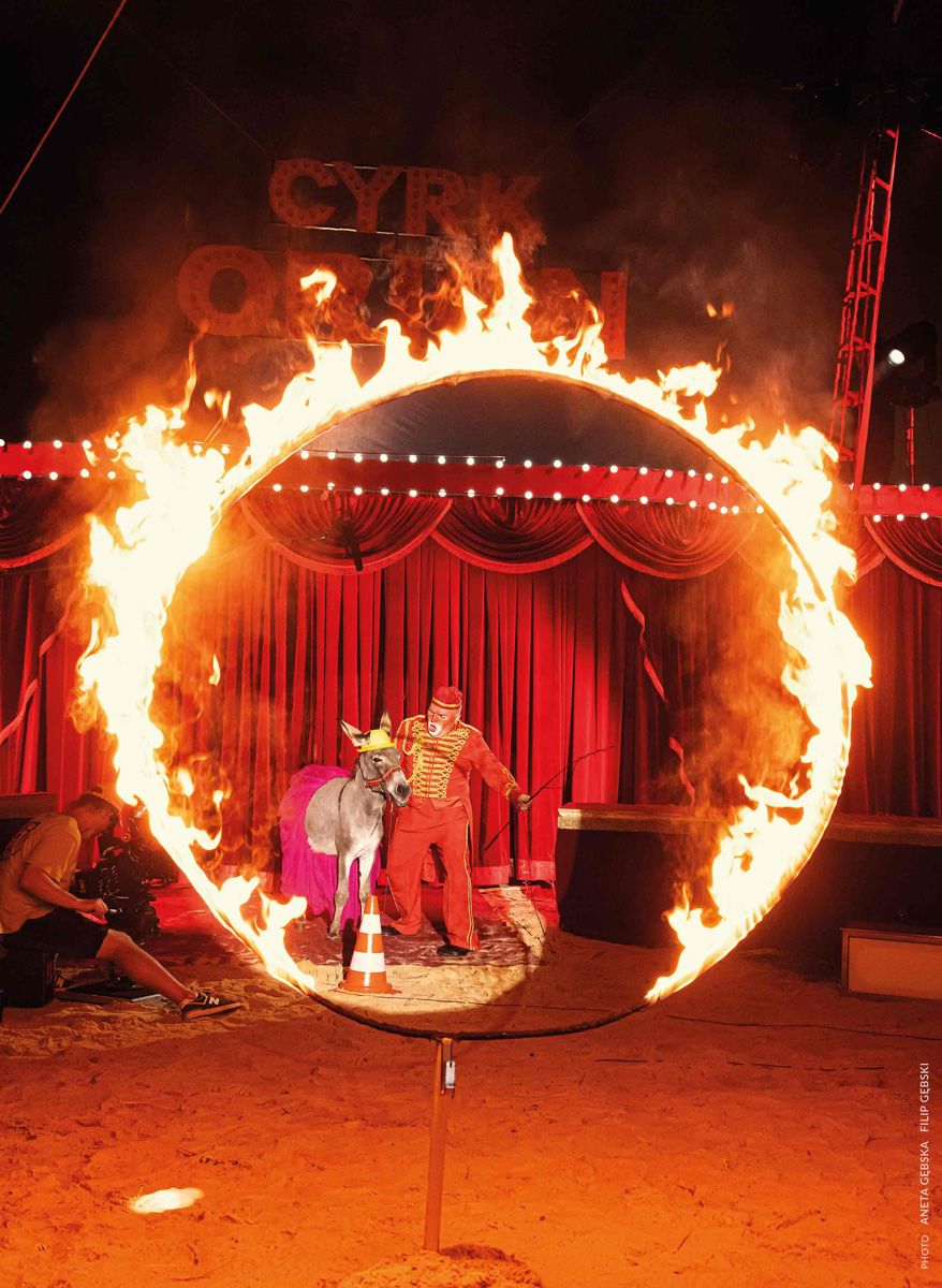 Foto de la película EO - Foto 11 por un total de 19 - SensaCine.com