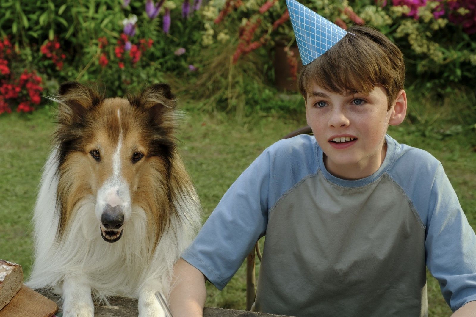 Foto de la película Lassie (Una nueva aventura) - Foto 46 por un total de 49 - SensaCine.com