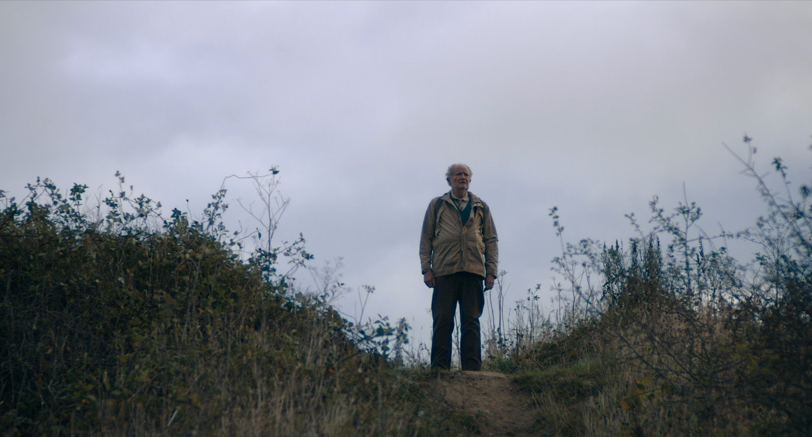 Foto de la película El viaje de Harold - Foto 22 por un total de 31 ...