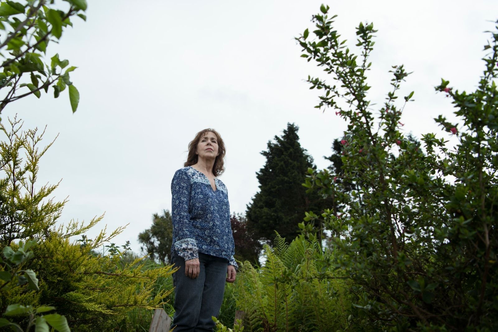 Foto de la película Roise y Frank - Foto 2 por un total de 5 ...