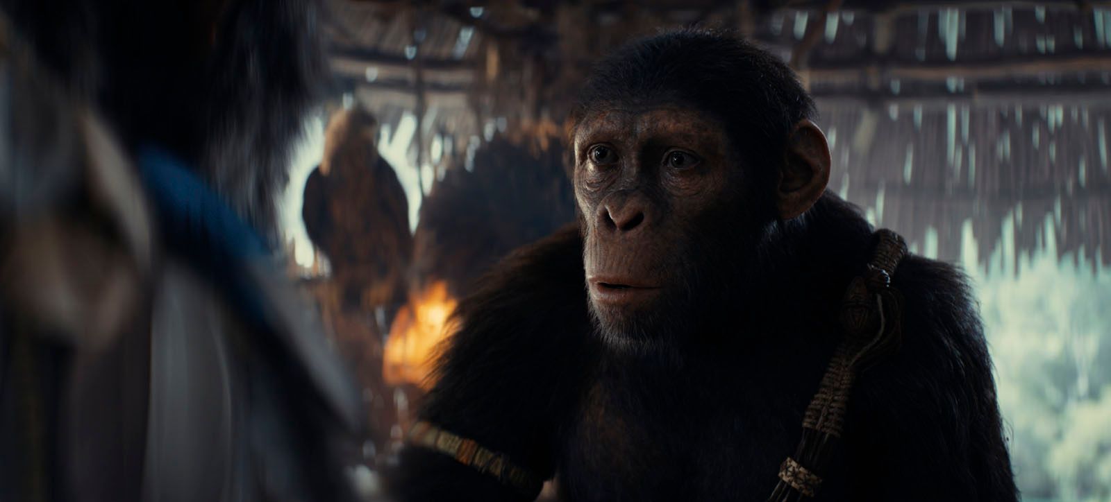Foto de la película El reino del planeta de los simios - Foto 1 por un ...
