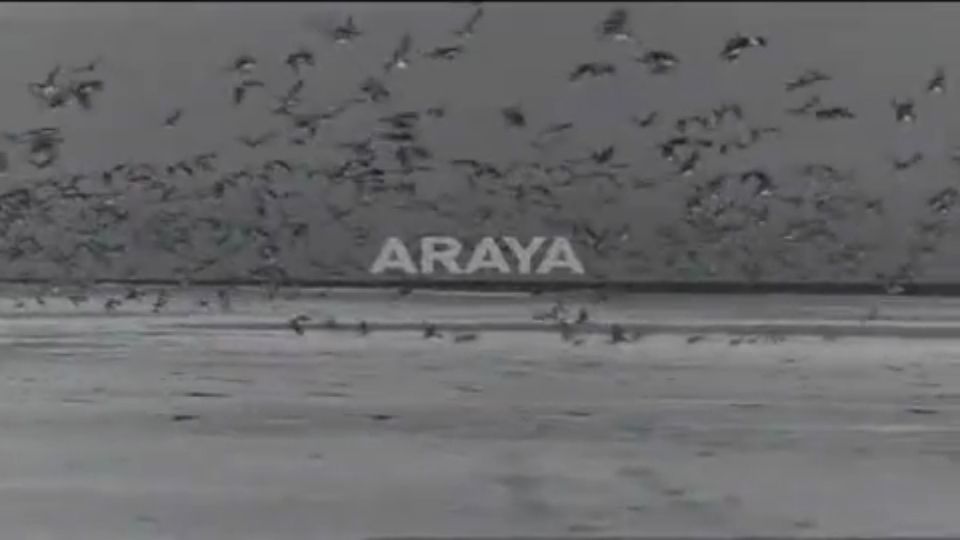 Tráiler de la película Araya - Araya Tráiler VO - SensaCine.com