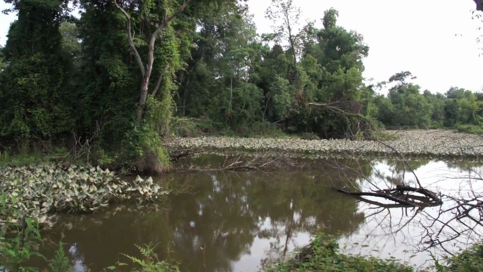 Tráiler de la película Cerca del río - Cerca del río Tráiler VO ...