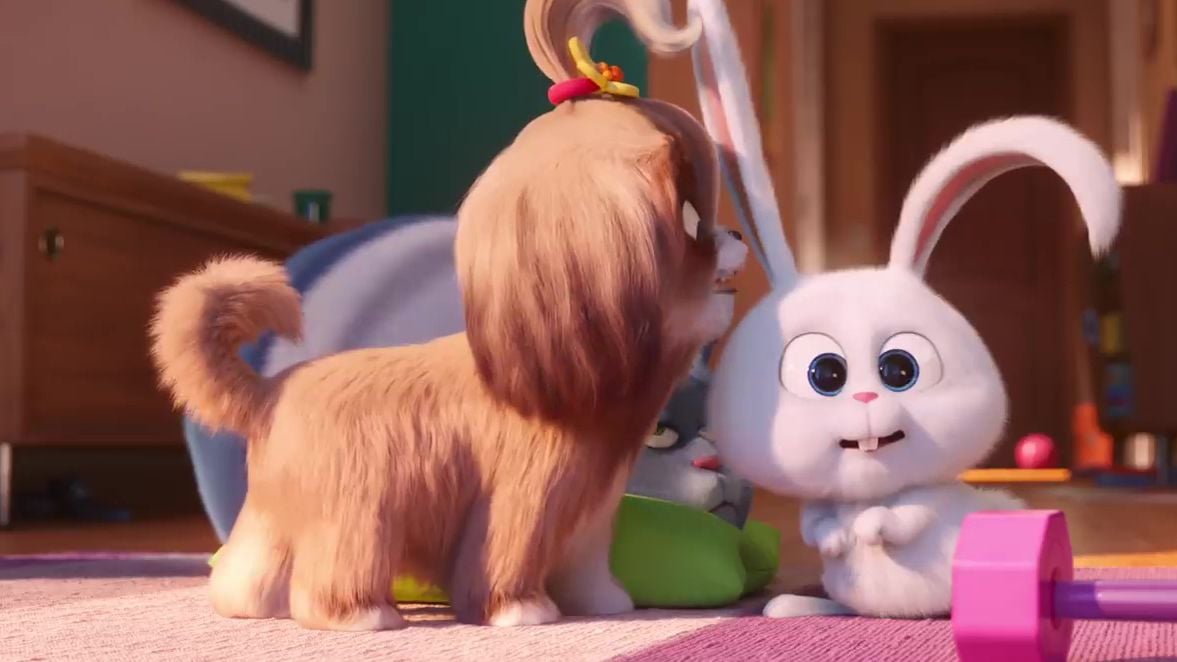 Tráiler de la película Mascotas 2 - Mascotas 2 Tráiler (3) VO ...