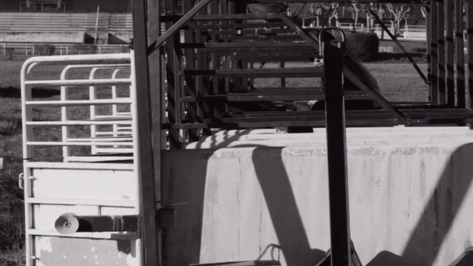 Tráiler de la película Zarata - Zarata Tráiler - SensaCine.com